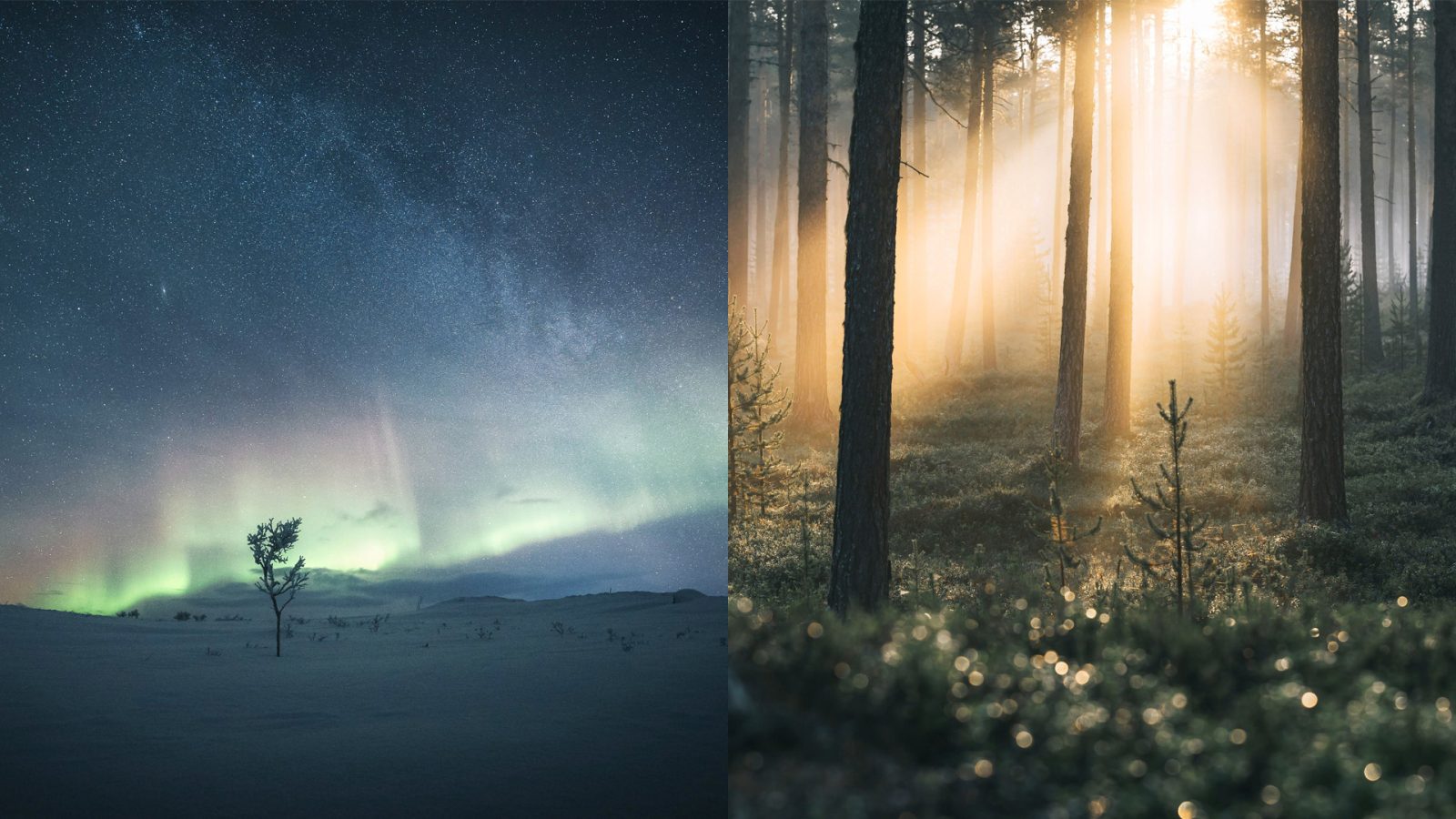 Lapland Luxury